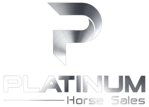 How To Buy – Platinum Horse Sales
