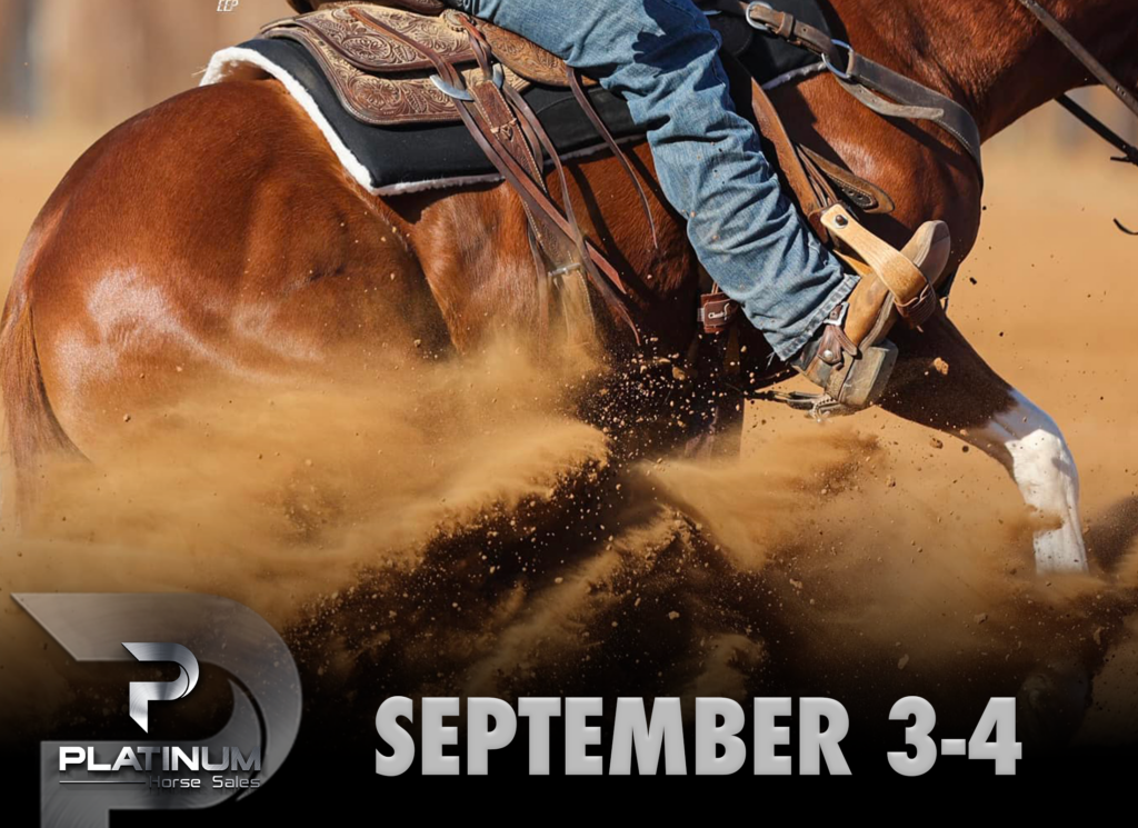 Upcoming Auctions – Platinum Horse Sales